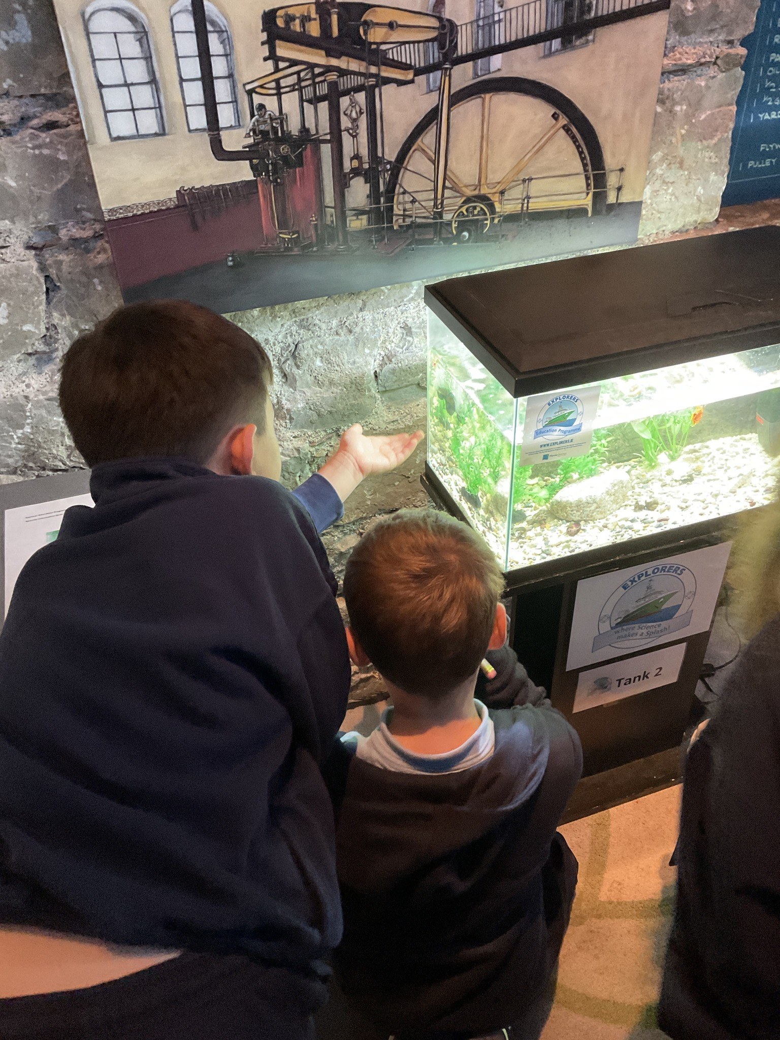 Cork - Old Cork Waterworks Experience | Top 100